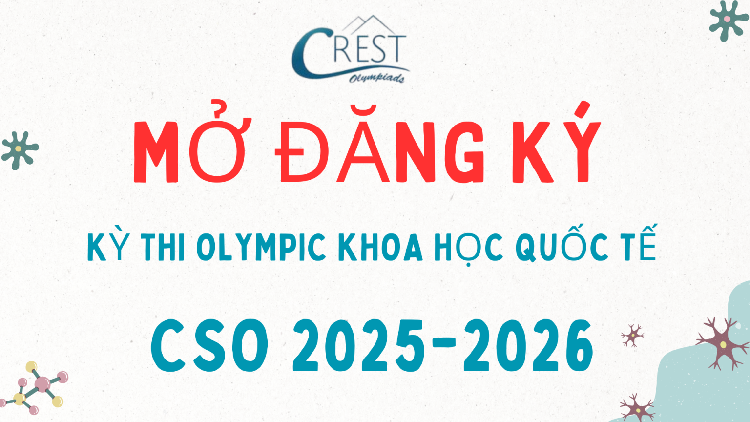 [TIMO 2025-2026] MỞ ĐĂNG KÝ KỲ THI OLYMPIC TOÁN HỌC QUỐC TẾ TIMO - Fermat Education
